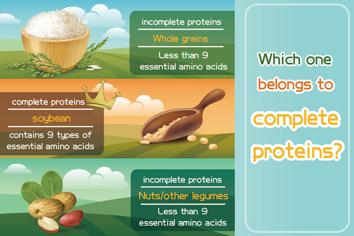 The Secret Weapon of Soybeans: A Complete Protein with Nine Essential ...